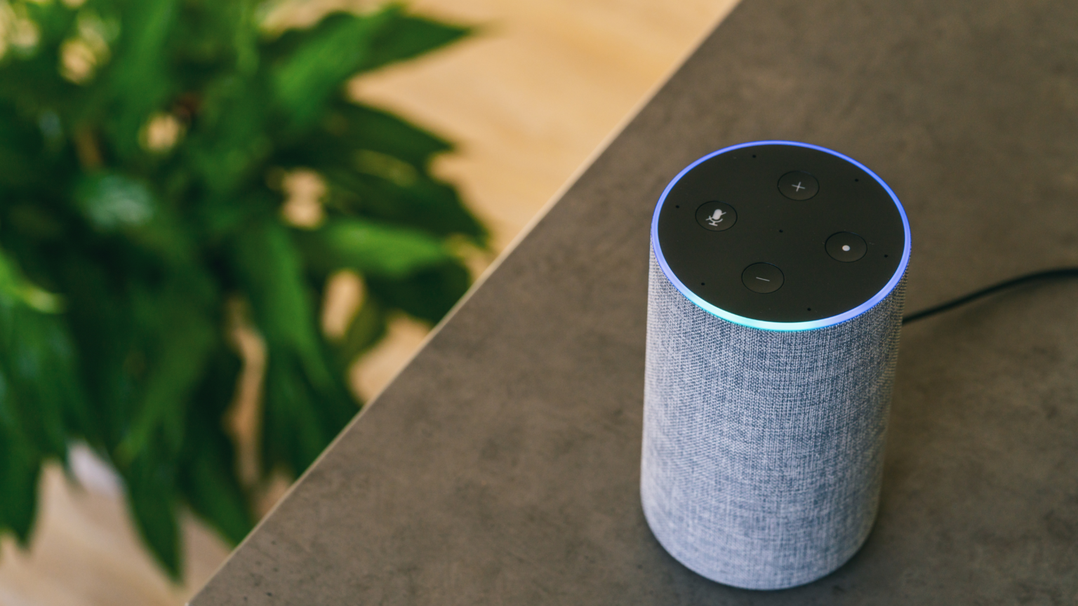 Learn more about Amazon Sidewalk and how to opt-out - Burlington Telecom