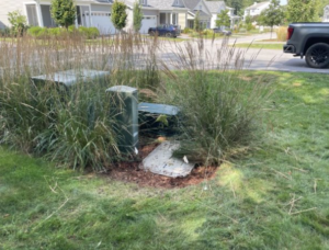 Build Progress - Burlington Telecom